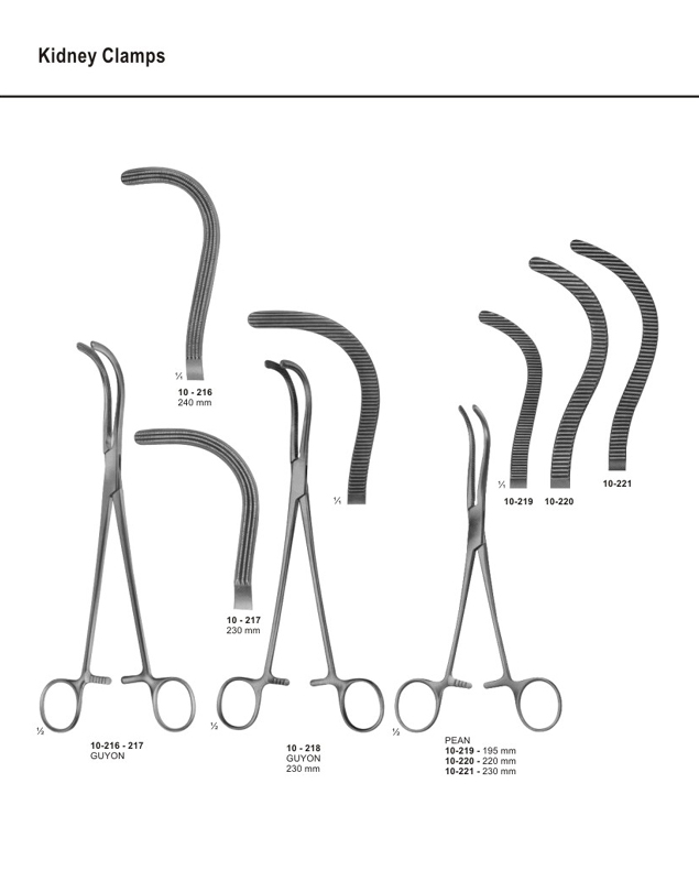Guyon, kidney clamps - Alphadent International